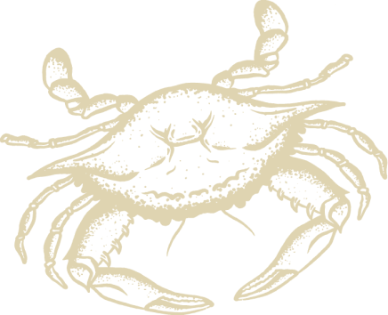 Home - Heron Point 20th Anniversary